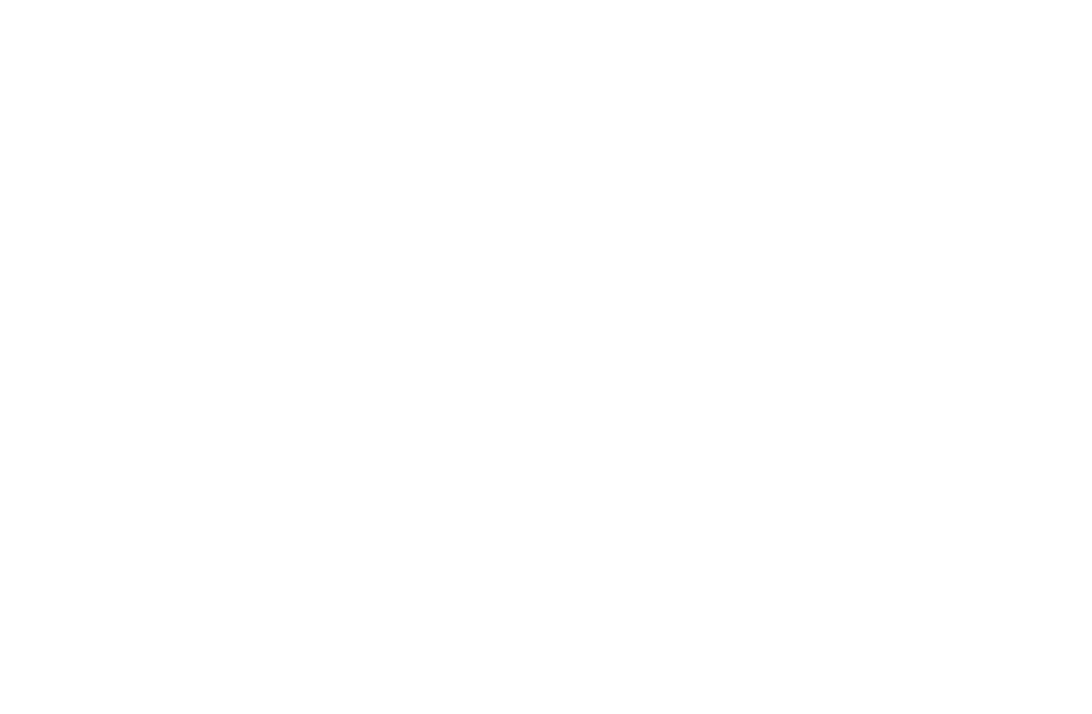 Brand Sourcing Group | BSG